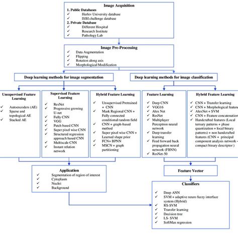 General Deep Learning Algorithm For Automatic Cervical Cytopathology