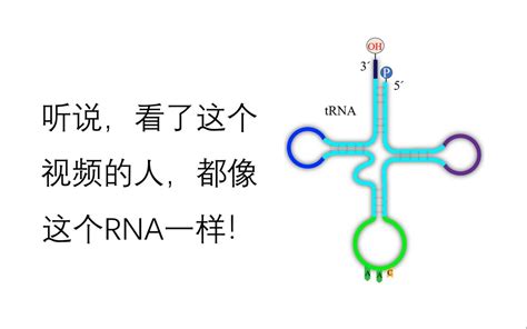 必修2第四章第1节：基因表达 第1课时 （新教材新授课） 哔哩哔哩