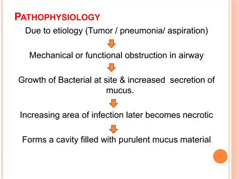Lung Abscess And Nursing Care Ppt
