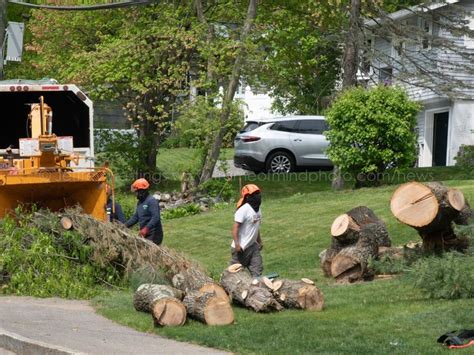 Man Dies From Injuries In Nashua Tree Cutting Accident On Conant Road
