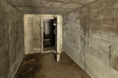 Weird Sex Latest News Updates Pictures Video Reaction The Mirror