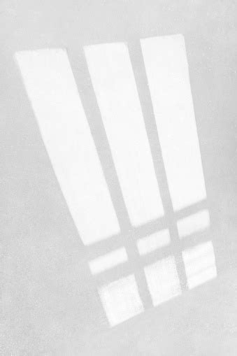 창에서 벽에 그림자 방의 창 창 그림자의 사실적인 오버레이 효과 0명에 대한 스톡 사진 및 기타 이미지 0명 가정의 방 개념 Istock