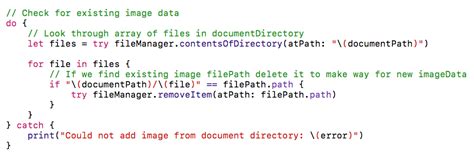 Persisting Image Data Locally Swift 3 By Doug Galante Medium