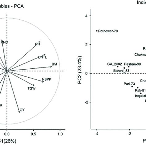 The Pca Plot Showing The Loading Of Variables Root Hair Length And