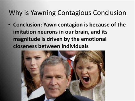 Ppt Why Is Yawning Contagious Powerpoint Presentation Free Download