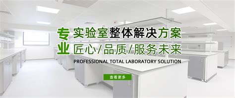 理化实验室通风柜 物理通风柜 化学实验室家具 上海伊然实验室系统工程有限公司