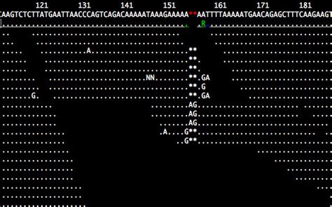 基因组学软件samtools的重要升级将支持全球数据共享生物探索