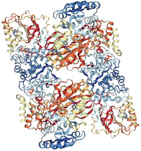 Sphingosine Structure Solved A Sphingosine Structure Is Hn He Ch Hc N