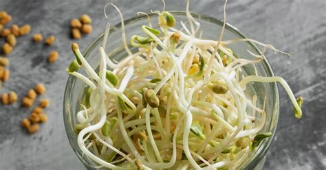 신선한 호로 파 콩나물이 테이블 위의 유리에 담겨 있습니다 사진 Unsplash의 마이크로그린 이미지