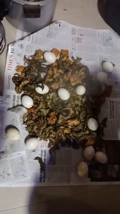 Marathi Special Cooker Handi😋🤤 Popti Foden Jaypatil1607shorts Youtube