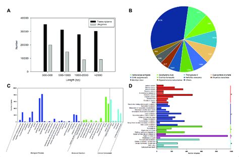 Characterization And Transcriptome Analysis Of RNA Sequences From Download Scientific Diagram