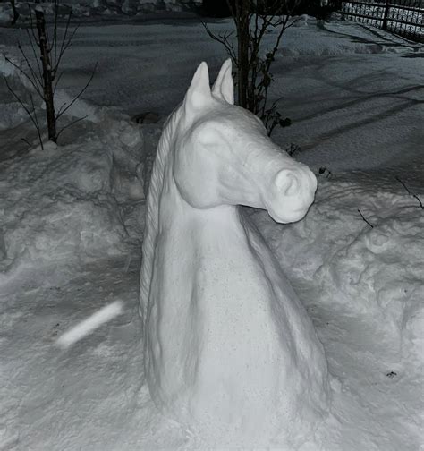 ჩემი სამყარო ხარ თოვლის ცხენი გურიიდან გვიმბალაური 🥰 Facebook