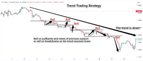 ᑕ ᑐ Forex Day Trading For Beginners Strategies Rules And Tips