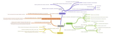 Ecosystem Coggle Diagram