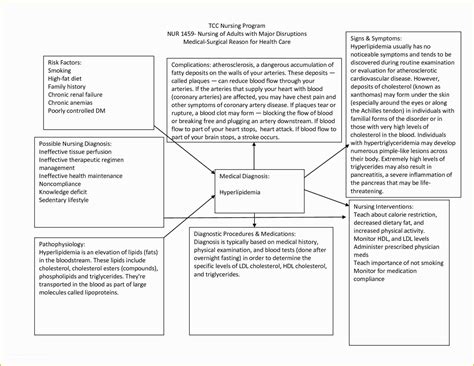 Care Map Template