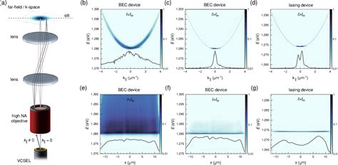 Figure 2 From Driven Dissipative Bose Einstein Condensation Of Photons In A Vertical Cavity