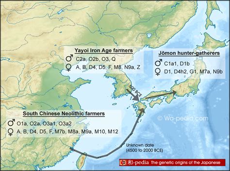 Why Did Japanese Settle In Peru At Malik Keck Blog