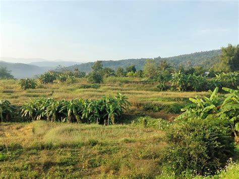 ขายที่เนิน ติดน้ำ วิวสวย เอกสารสิทธิ์โฉนด พร้อมบ้านสวน 1 หลัง ไร่ละห้าแสนห้าหมื่นบาท Ennxo