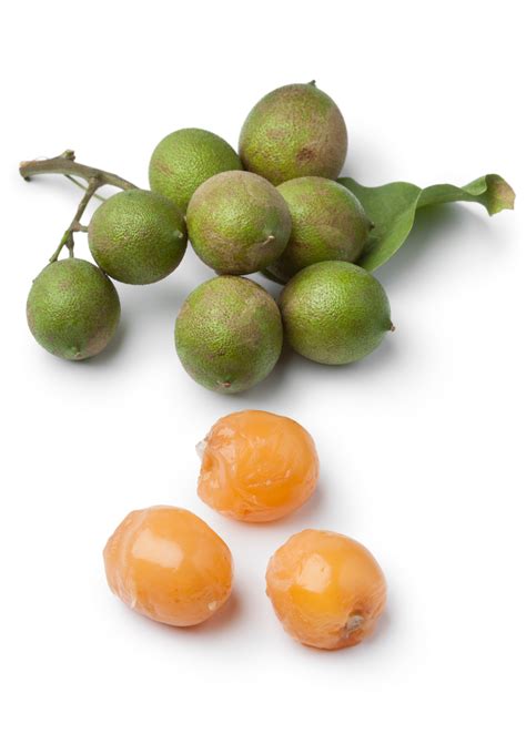 Spanish Lime Quenepa Tropical Fruit Tree Sow Exotic