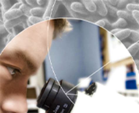 Best Immunology Courses Online With Certificates 2024 Coursera
