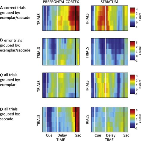 Figure 4 From Differences Between Neural Activity In Prefrontal Cortex And Striatum During
