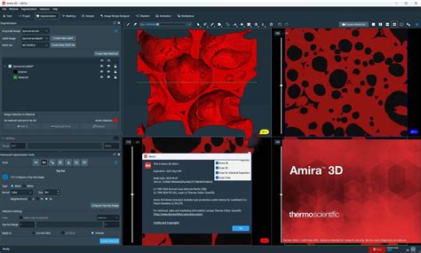 Download Thermosientific Avizo 20251 December 2025 Update