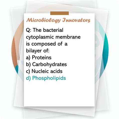 Microbiology Innovators On Linkedin Q The Bacterial Cytoplasmic Membrane Is Composed Of A