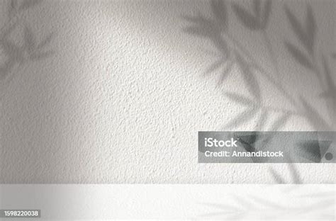 스튜디오 배경 회색 콘크리트 벽 배경에 햇빛 효과가 있는 대나무 잎 그림자 시멘트에 나뭇잎 실루엣이 있는 빈 흰색 스튜디오 룸