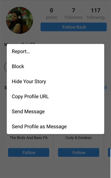 Instagram Bot Follow Singaporemolqy