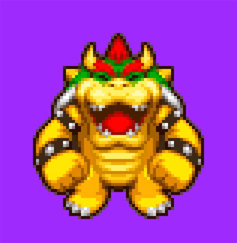 Koopa Bowser Mario Bros