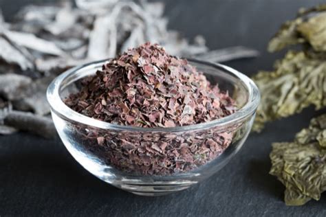 What Does Dulse Taste Like Fresh And Dried