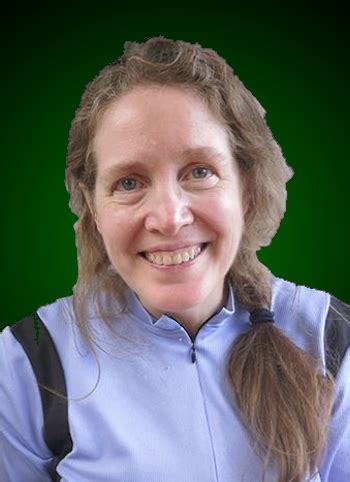 Solved Tf Base Css Charset Utf New Perspectives Chegg