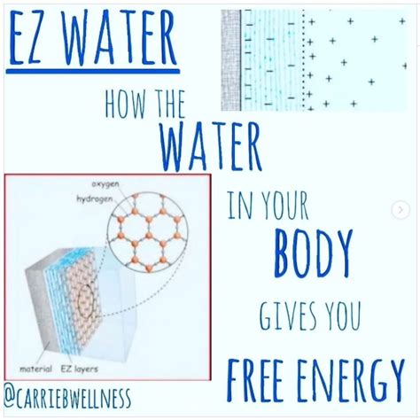 Ez Water — Roger Cornejo