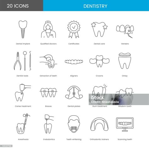 치과 진료소의 선형 아이콘 세트에는 임플란트 베니어 치과 의사 도구 치아 추출 얼라이너 및 크라운이 포함됩니다 벡터 일러스트 레이 션 우식 치료 치아 및 트레이너 스캔