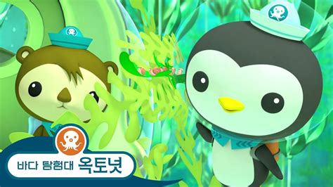 바다 탐험대 옥토넛 켈프 숲 구출 작전 모음집 Youtube