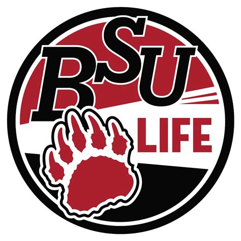 Nippyfile Bsu