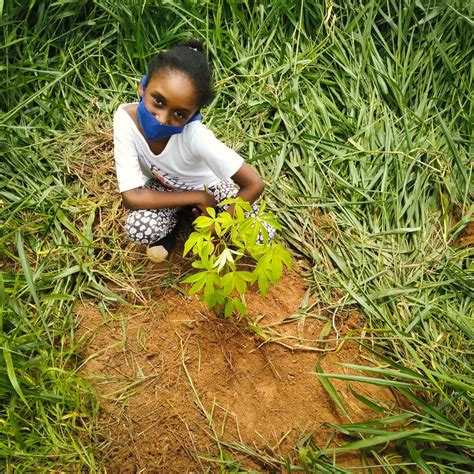 Día Mundial De La Educación Ambiental