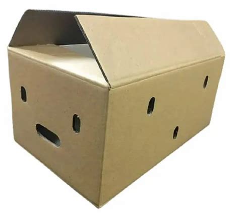 Brown 7 Ply Corrugated Box At Rs 30piece Bhubaneswar Id 26271373462 Brown 7 Ply Corrugated Box At Rs 30piece Bhubaneswar Id 26271373462