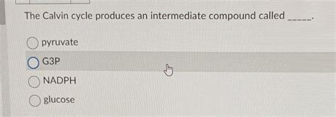 Solved The Calvin Cycle Produces An Intermediate Compound
