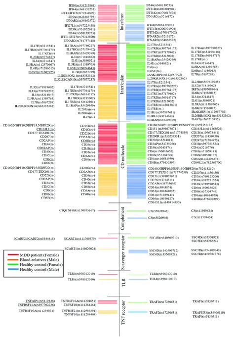 Whole Exome Sequencing Comparison Of Mutations Of Mdd Patients Their Download Scientific