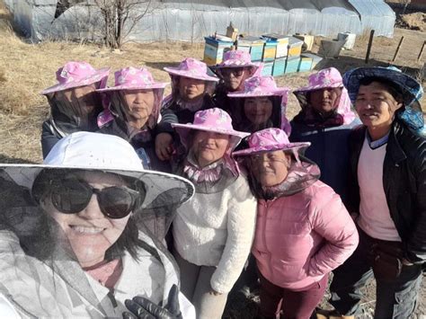 Хөдөөний хүүхэн On Twitter Хантай зөгийн аж ахуй нь Булганы ХАА н