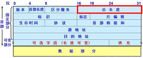 ip 数据报格式详解 csdn博客