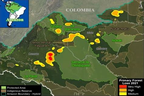 2021 Amazon Deforestation Map Shows Devastating Impact Of Ranching