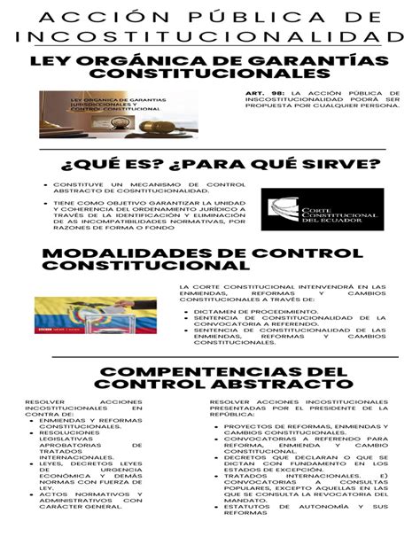 Infografía AcciÓn De Inconstitucionalidad Pdf Constitución