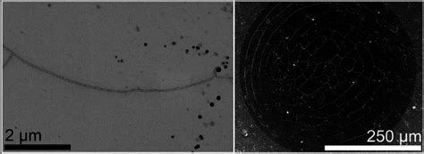 Cracking Of The Composite Membrane Sem Micrographs Of Cracks In A