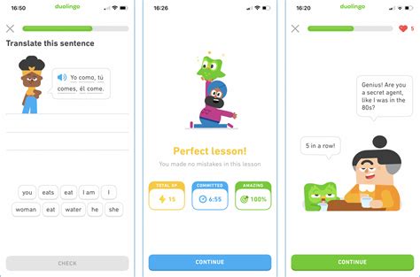 Duolingo And The Basics Of Learning Training Wizard