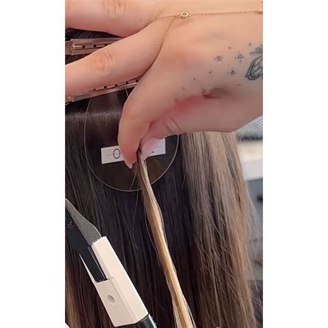 Extensions Where Here S A Must Try Tip For Invisible Roots
