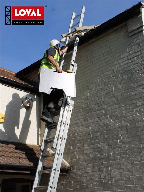 Loyal Chimney Access Platform Chimney Scaffold