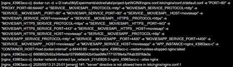 Can I Use Angular With Net Core With Tye · Issue 472 · Dotnettye · Github