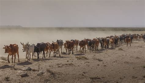 When Did Sex Become Fun SAPIENS